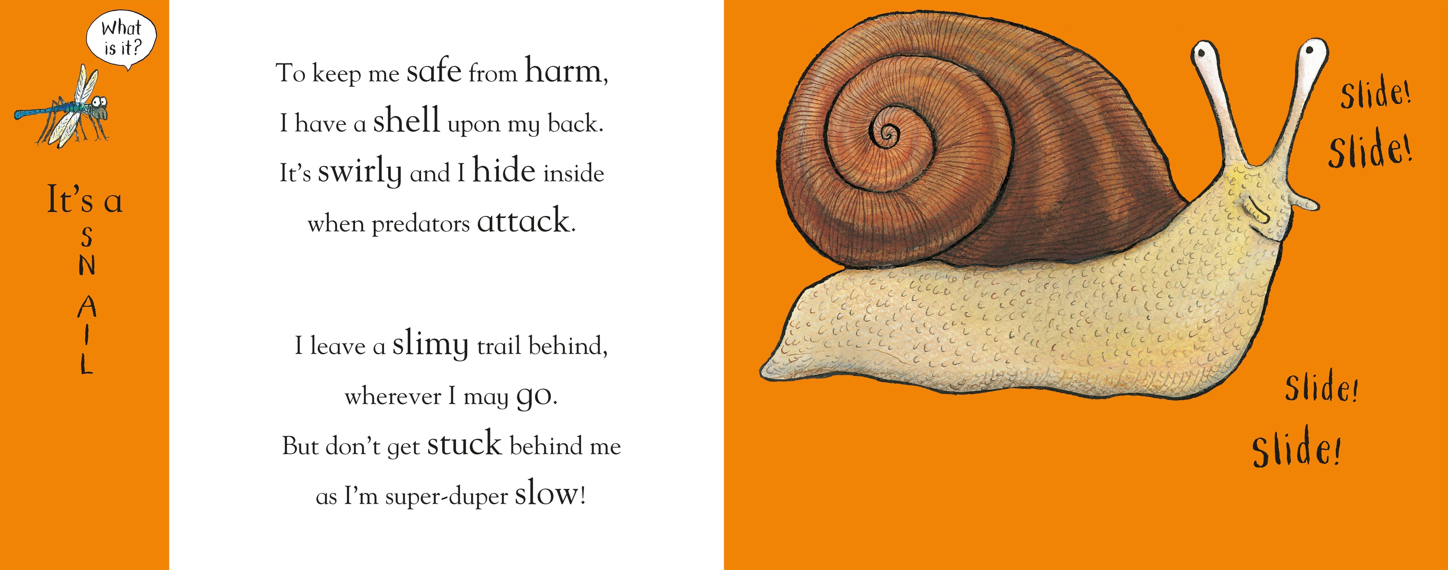 Axel Scheffler's Flip Flap Minibeasts – Luss General Store